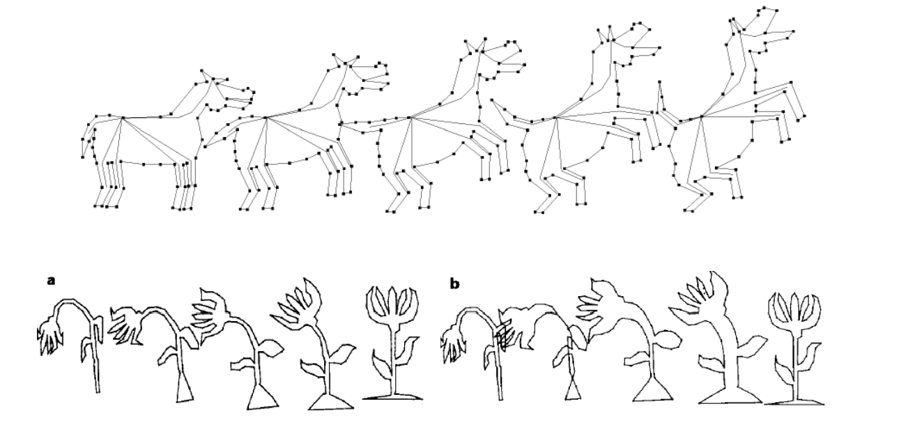Shape Morphing - GAMES102