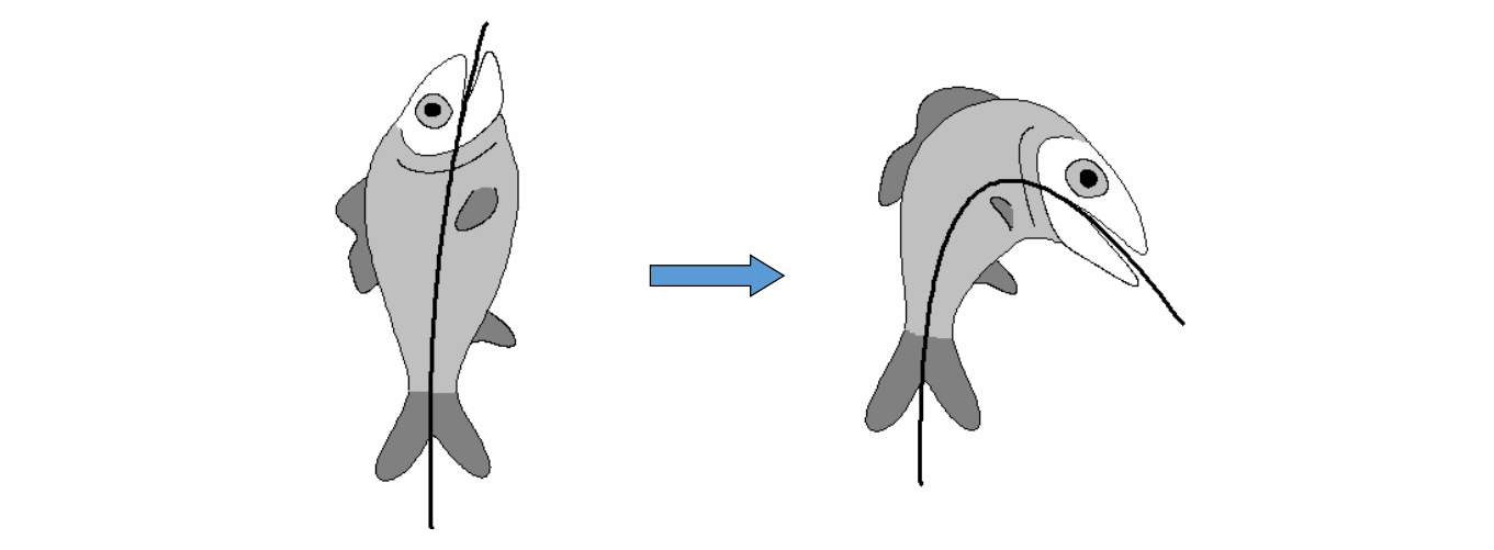 2 Curve Proxy - GAMES102